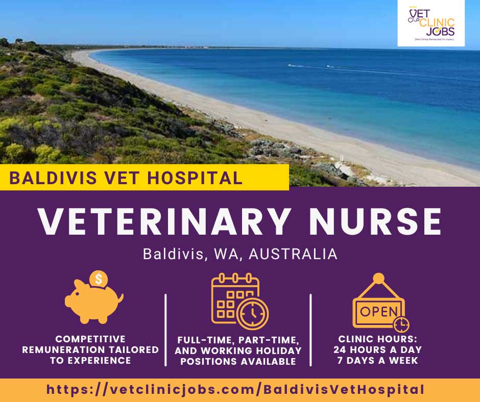 Veterinary Nurse Career Opportunities - Baldivis Vet Hospital