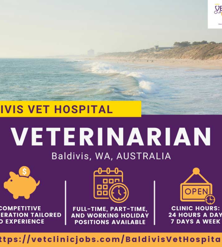 Career Opportunities Archives - Baldivis Vet Hospital