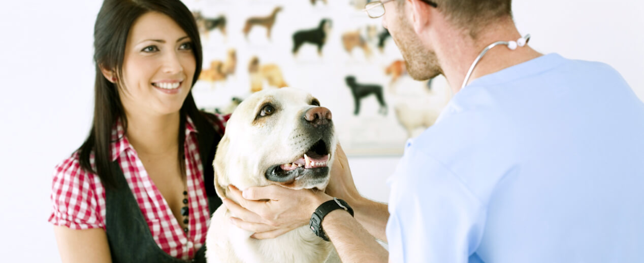 Administration & Support Team - Baldivis Vet Hospital