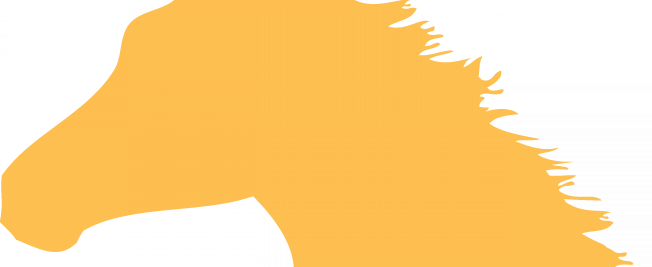 equine-logo - Baldivis Vet Hospital